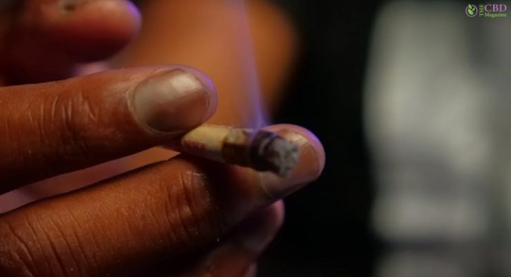 Mac 1 Strain: Effects, Ratings, And Flavors