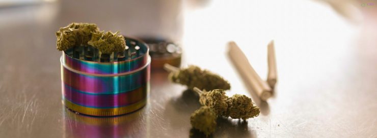 Mac 1 Strain: Effects, Ratings, And Flavors