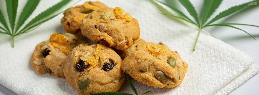 Edibles Dosing 101: Beginner's Guide To Cannabis-Infused Treats