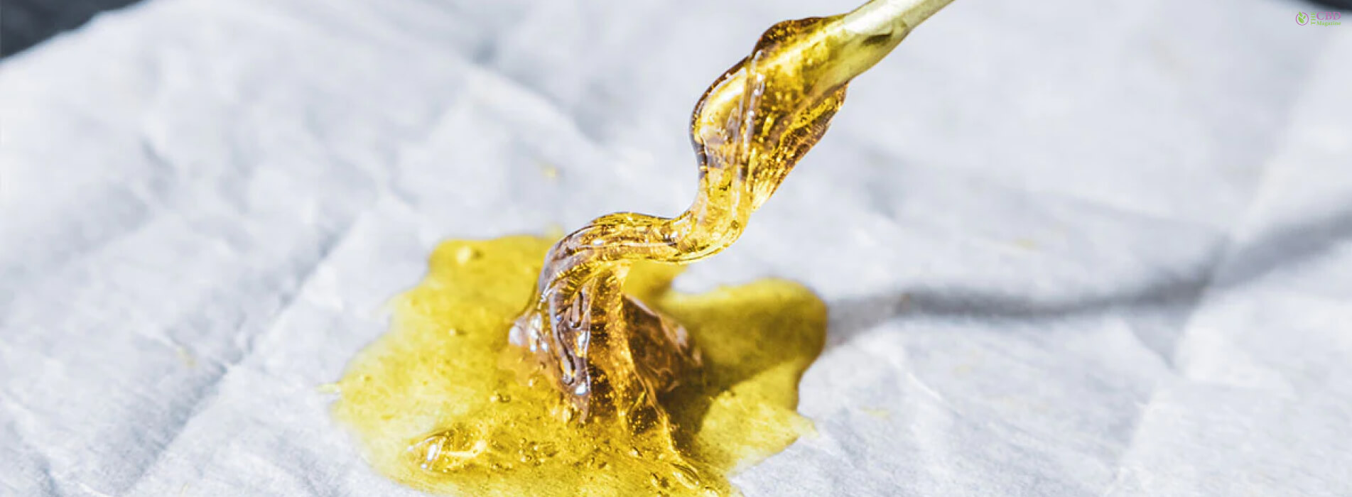 Understanding CRC Wax: What It Is And Is It Bad For You?