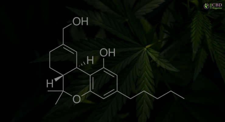 Know Your Cannabinoids: 11 Hydroxy THC
