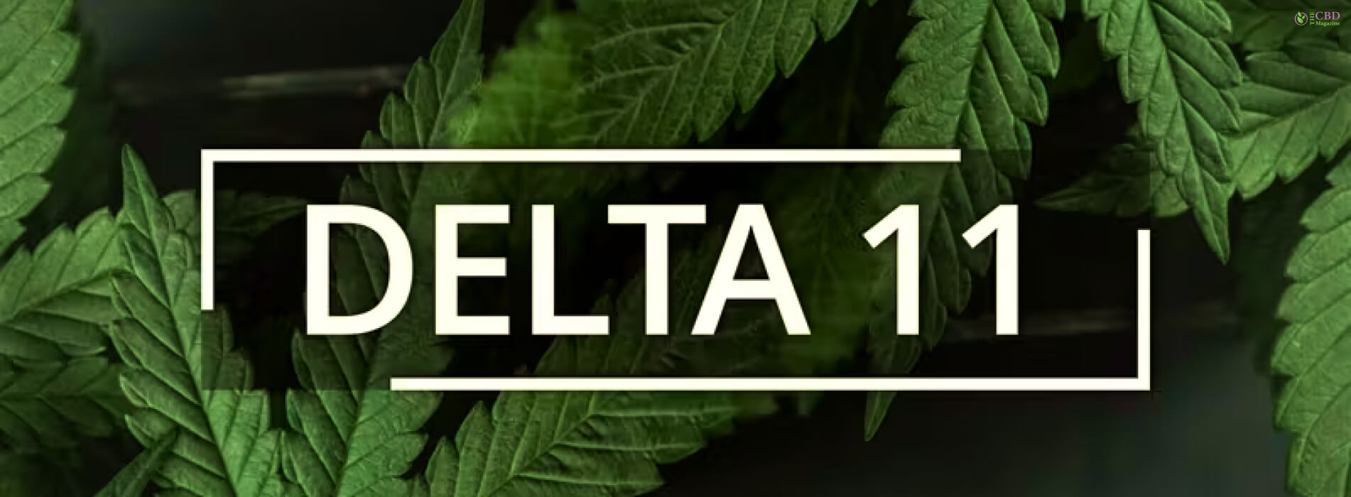 Know You Cannabinoids: Delta 11 THC