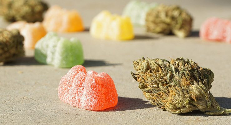 An Idiot’s Guide On How To Make Pot Gummies